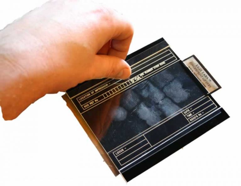 Fingerprint Templates Made Your Own Specification - Tetra Scene Of Crime